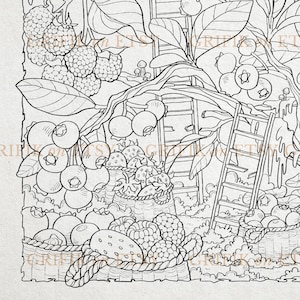 Printable Coloring Page, Berries Harvesting, Instant Download Coloring ...