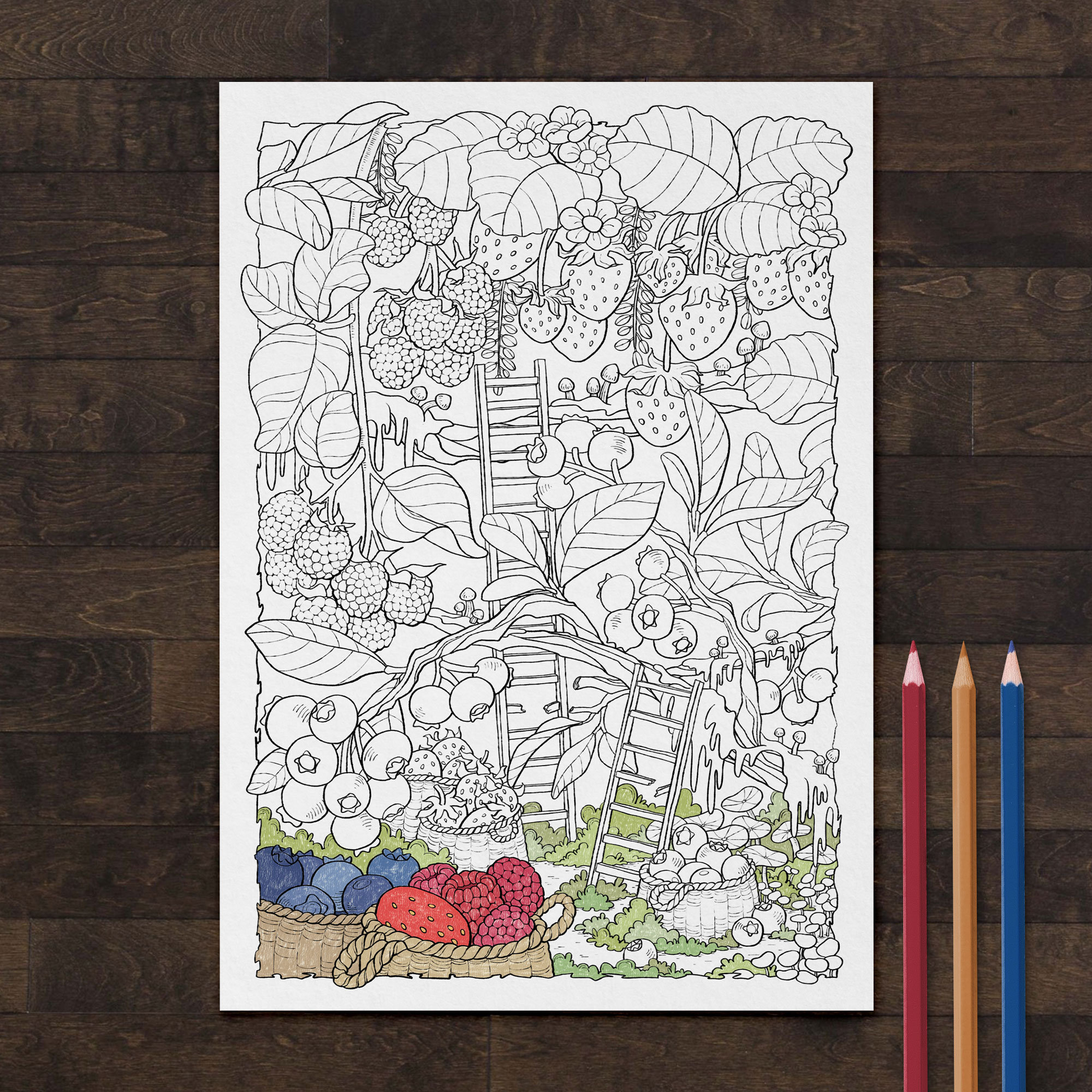 Printable Coloring Page Berries Harvesting Instant Download - Etsy
