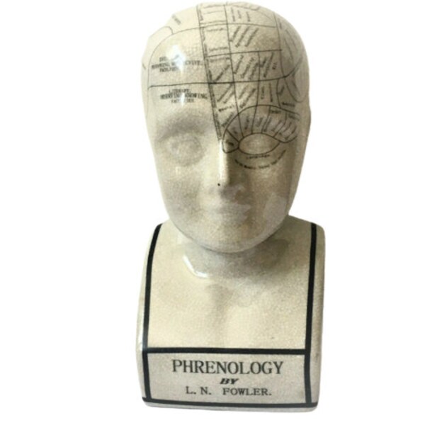 Phrenology Head - Etsy