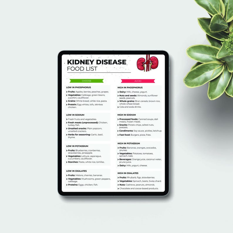 Kidney Disease Food List | CKD Diet Guide | Foods to Choose and Avoid ...