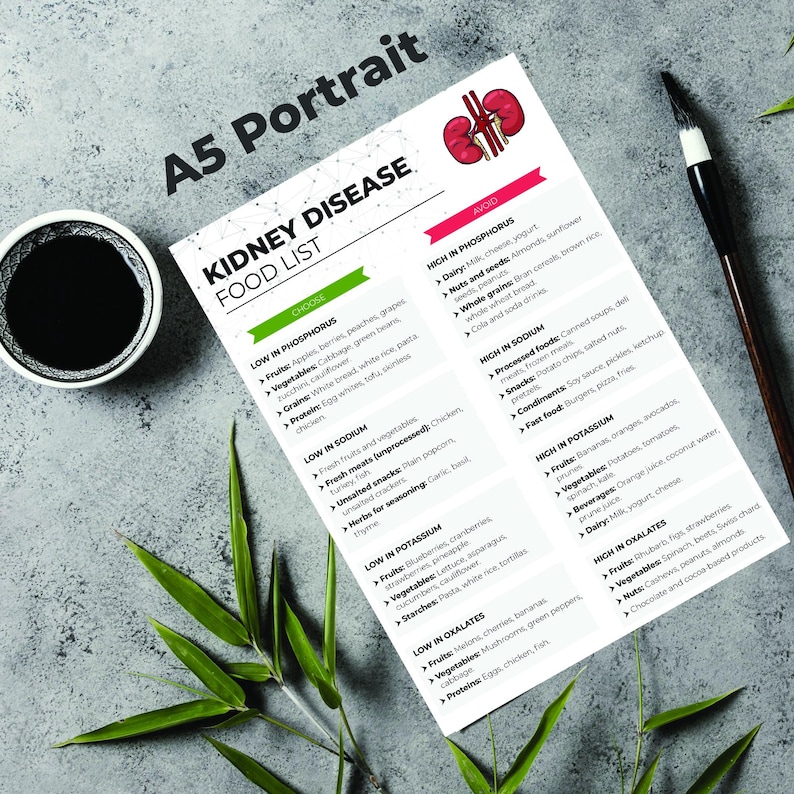 CKD Diet Guide: Kidney Disease Food List (printable PDF) - Etsy Australia