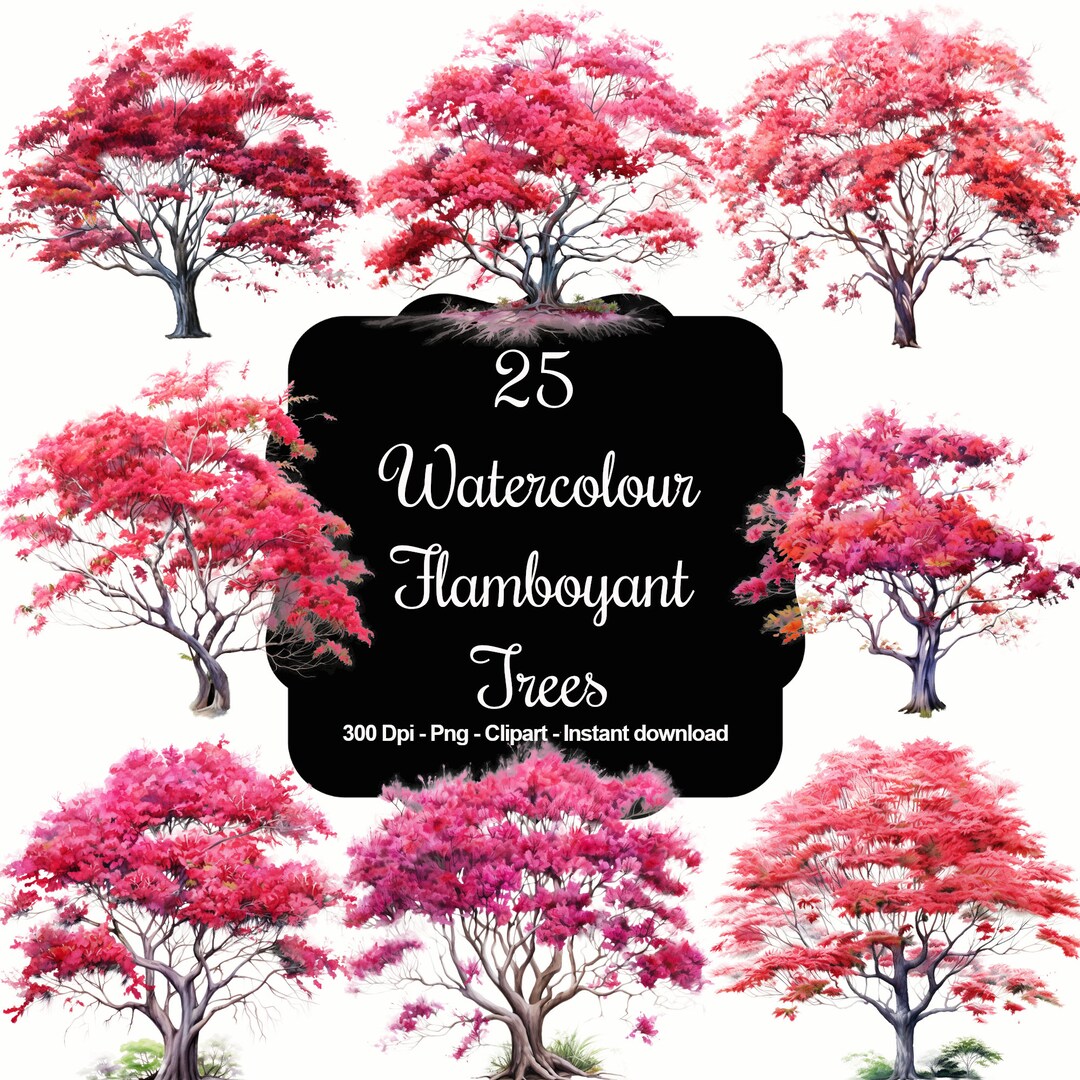 Flame of the Tropics: 25 Watercolour Flamboyant Tree Clipart Set - Etsy
