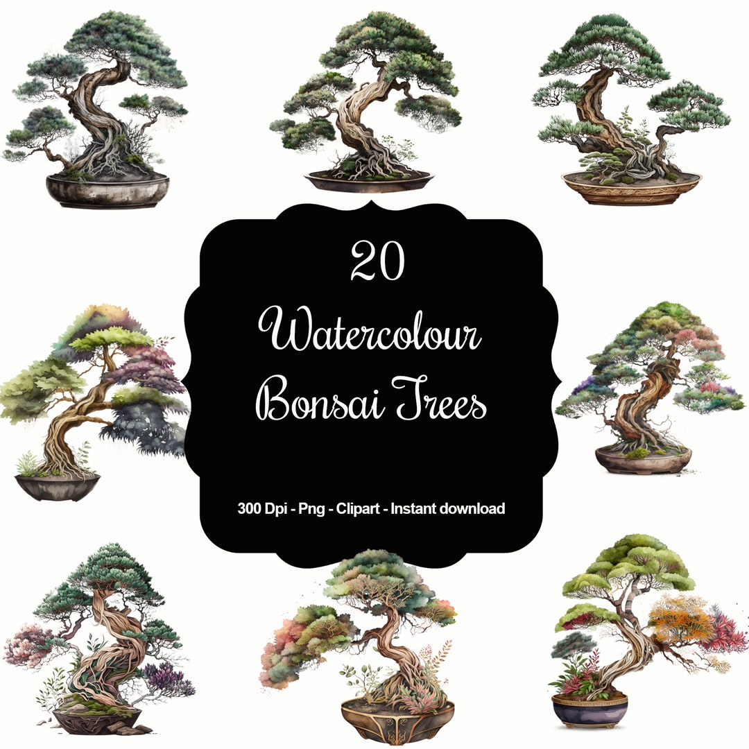 Zen Canopy: 20 Watercolour Bonsai Trees Clipart Set - Etsy