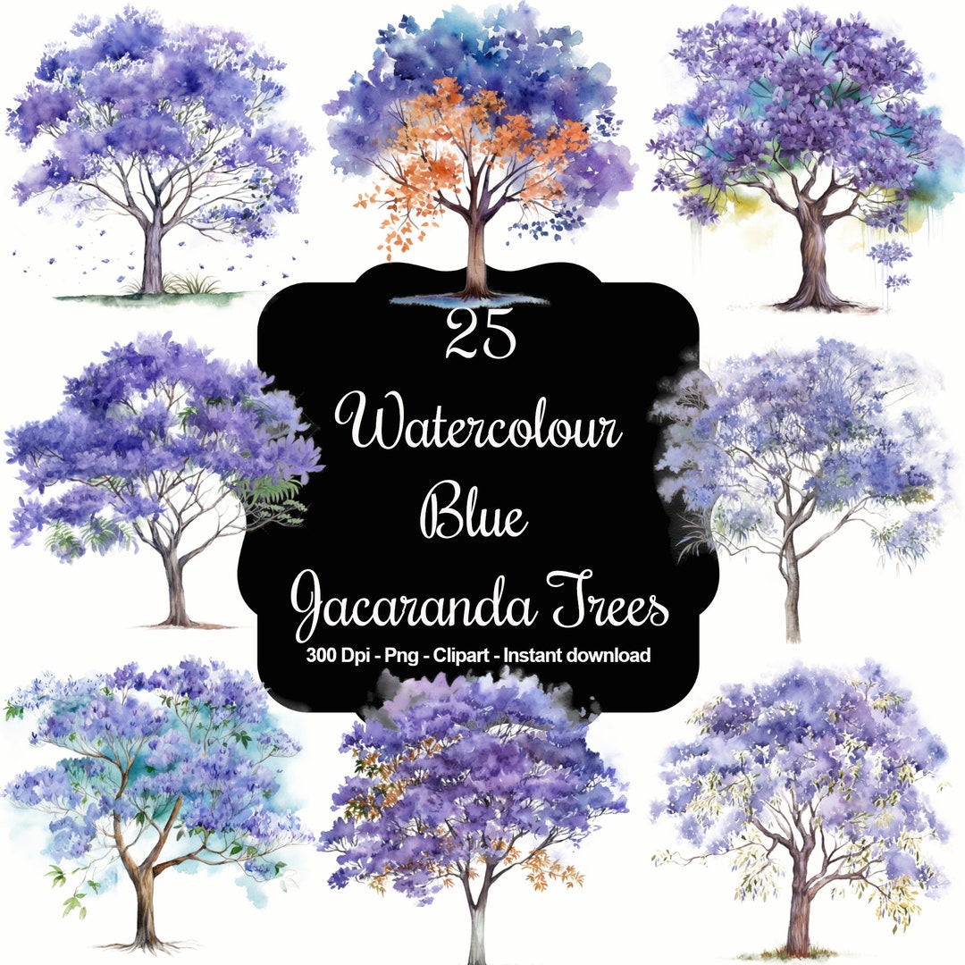 Blue Canopies: 25 Watercolour Blue Jacaranda Tree Clipart Collection ...