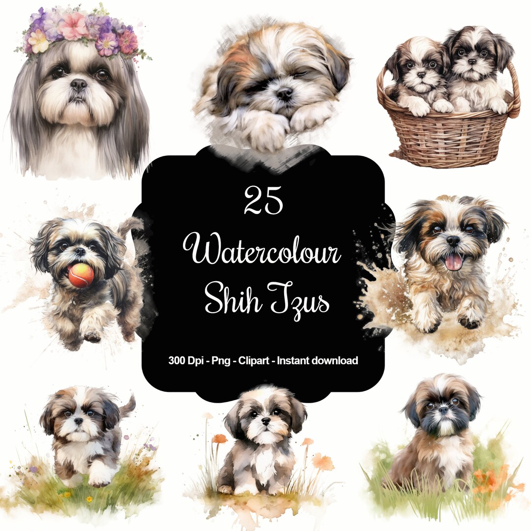 Shih Tzu Charm: 25 Watercolour Shih Tzus Clipart Set - Etsy