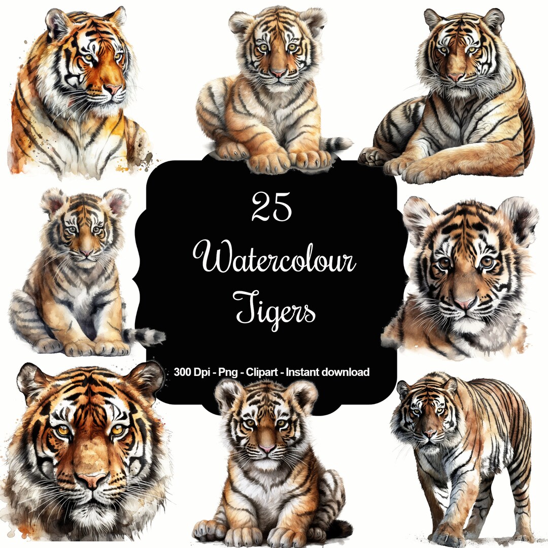 Wild Stripes: 25 Watercolour Tiger Clipart Set - Etsy