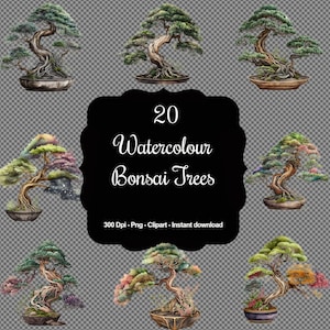 Zen Canopy: 20 Watercolour Bonsai Trees Clipart Set - Etsy