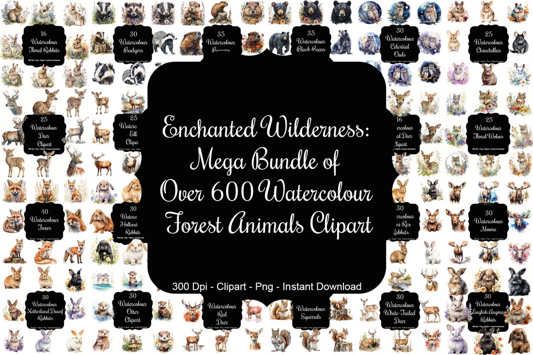 Enchanted Wilderness: Mega Bundle of Over 600 Watercolour Forest ...