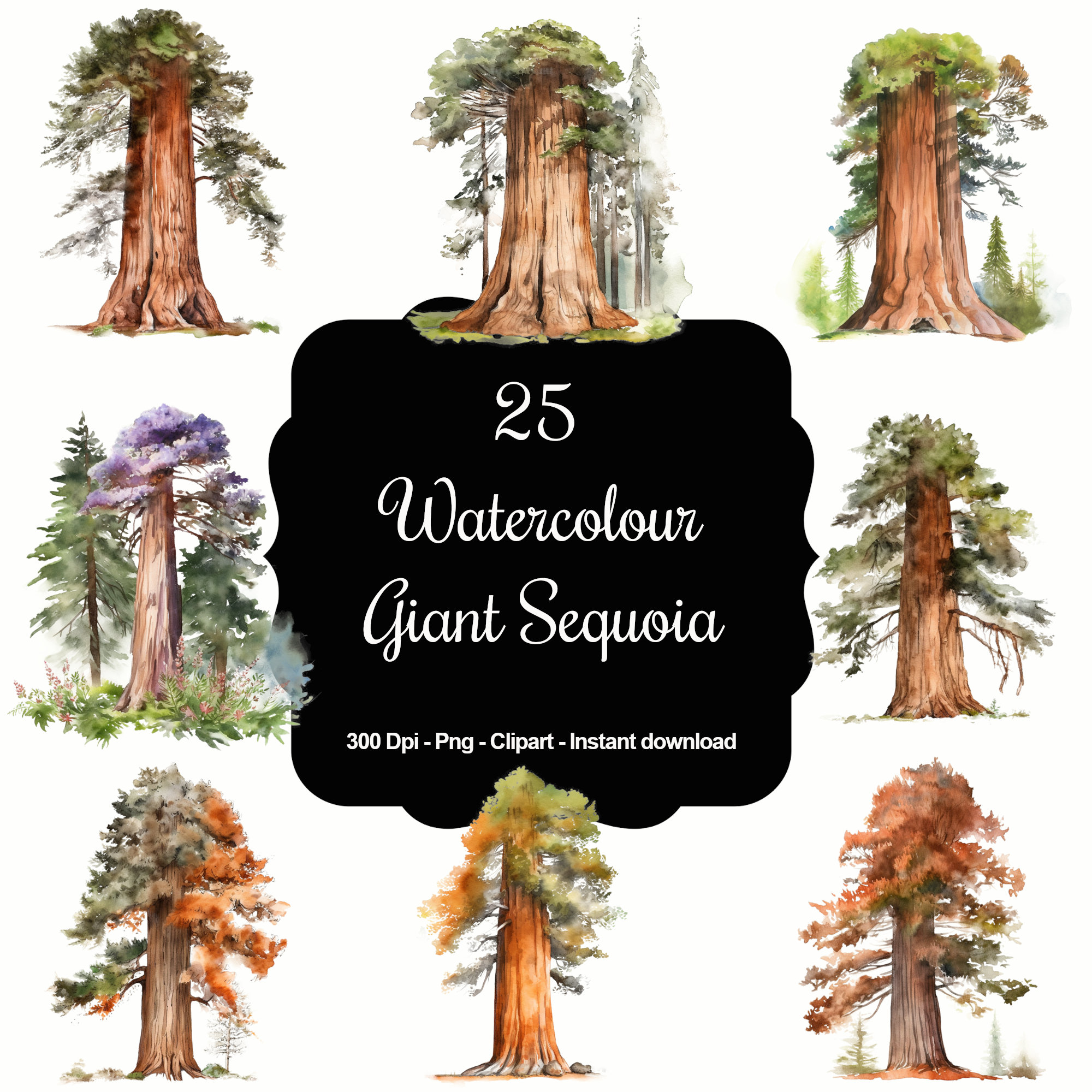 Sequoia Tree Clip Art