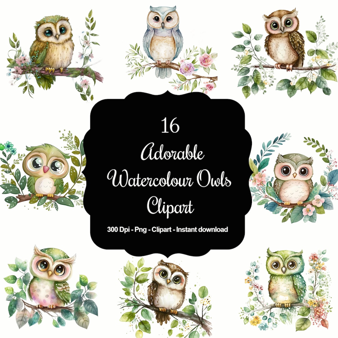 Owl Whimsy: 16 Adorable Watercolour Owls Clipart Set for Nursery Decor ...