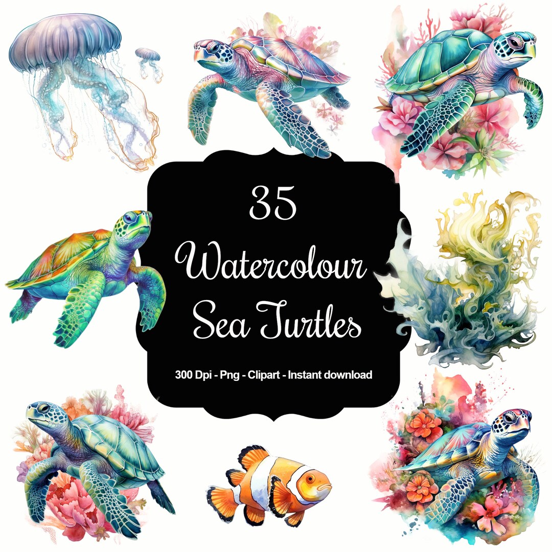 Tranquil Turtles: 35 Watercolour Turtles Clipart Set - Etsy