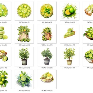 Zesty & Fresh: 25 Watercolour Key Lime Clipart Collection, Unique Key ...