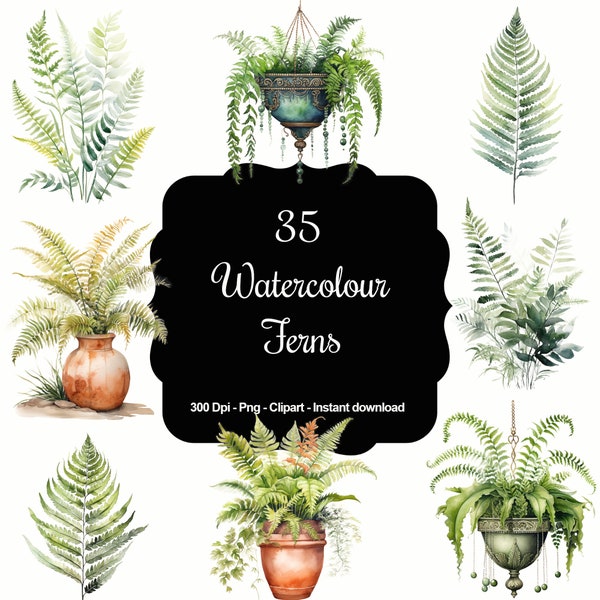 Watercolor Fern - Etsy