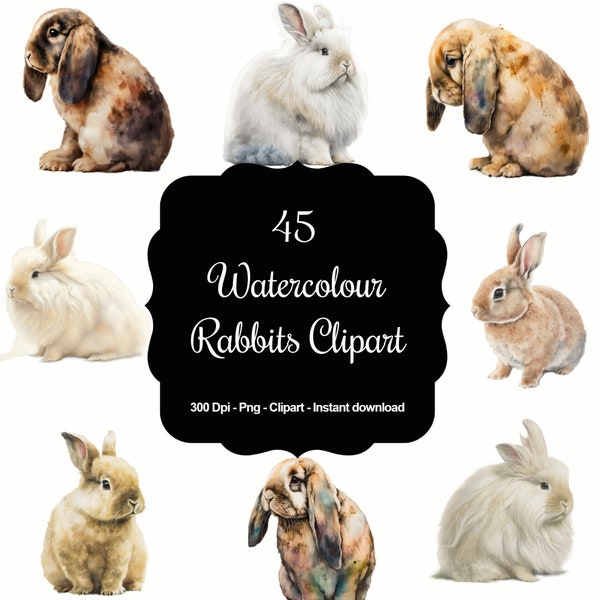 Rabbit Clip Art - Etsy