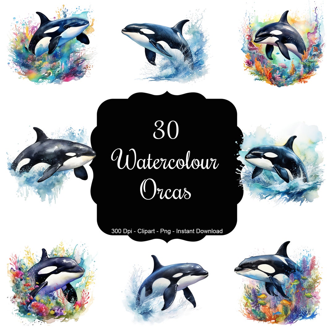 Ocean Giants: 30 Watercolour Orcas Clipart Set - Etsy