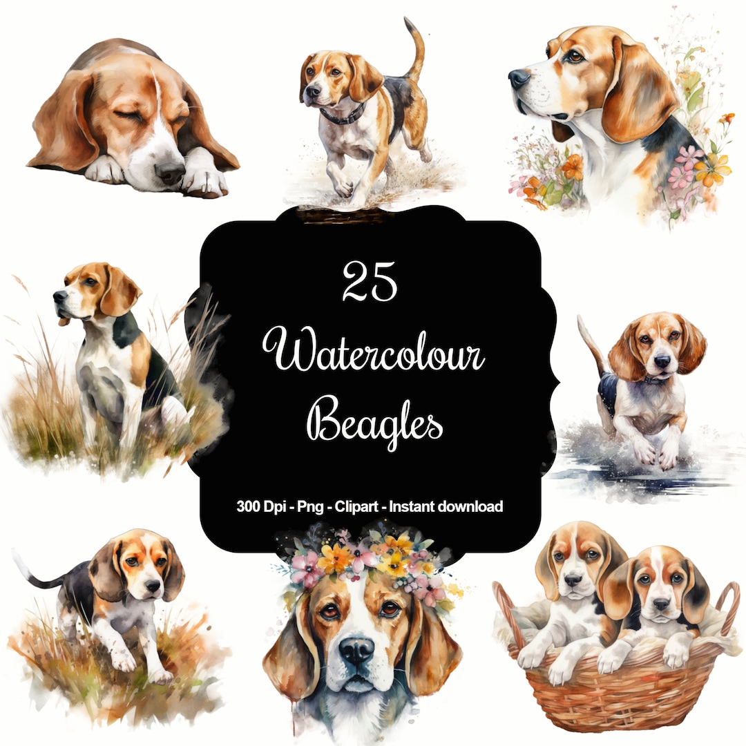 Charming Companions: 25 Watercolour Beagles Clipart Set - Etsy