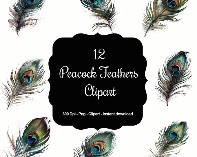 Peacock Feather Clipart | Vibrant Peacock Feather Clipart Bundle | 10 ...