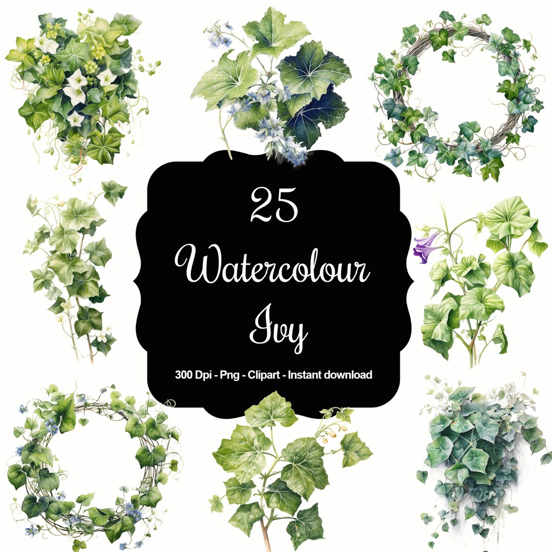 Ivy Whispers: 25 Unique Watercolour Ivy Images Clipart Set - Etsy