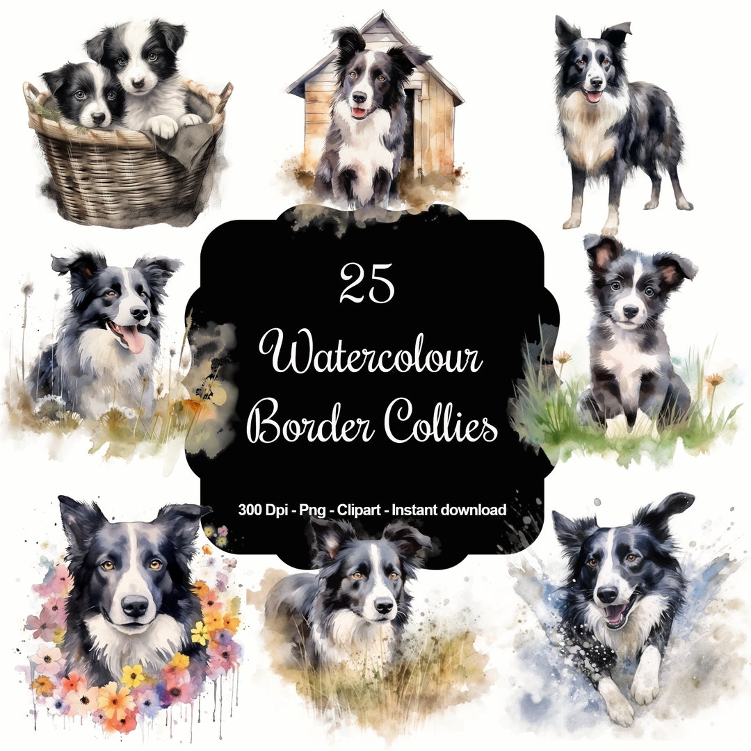Collie Contours: 25 Watercolour Border Collie Clipart Set - Etsy