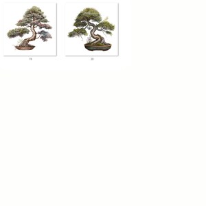 Zen Canopy: 20 Watercolour Bonsai Trees Clipart Set - Etsy