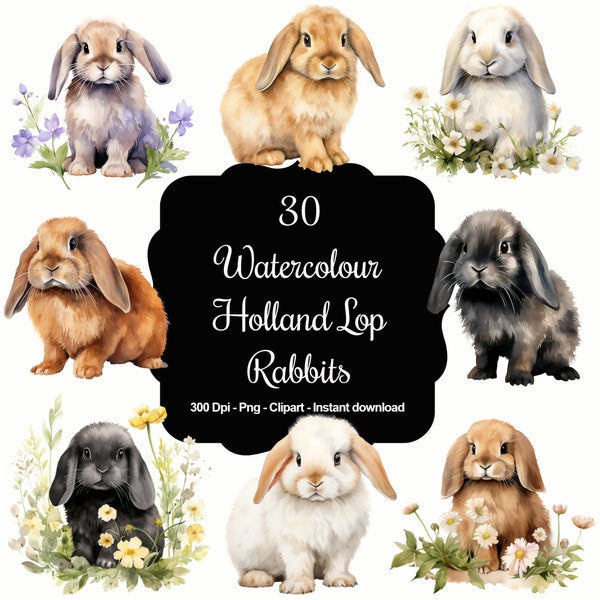 Bunny Clipart - Etsy