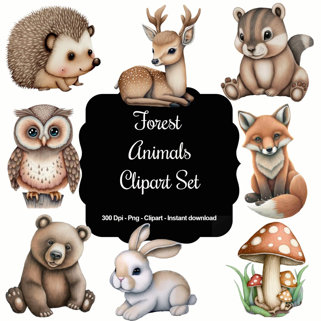 Whimsical Woods: 35 Forest & Woodland Animals and Elements Clipart Set ...