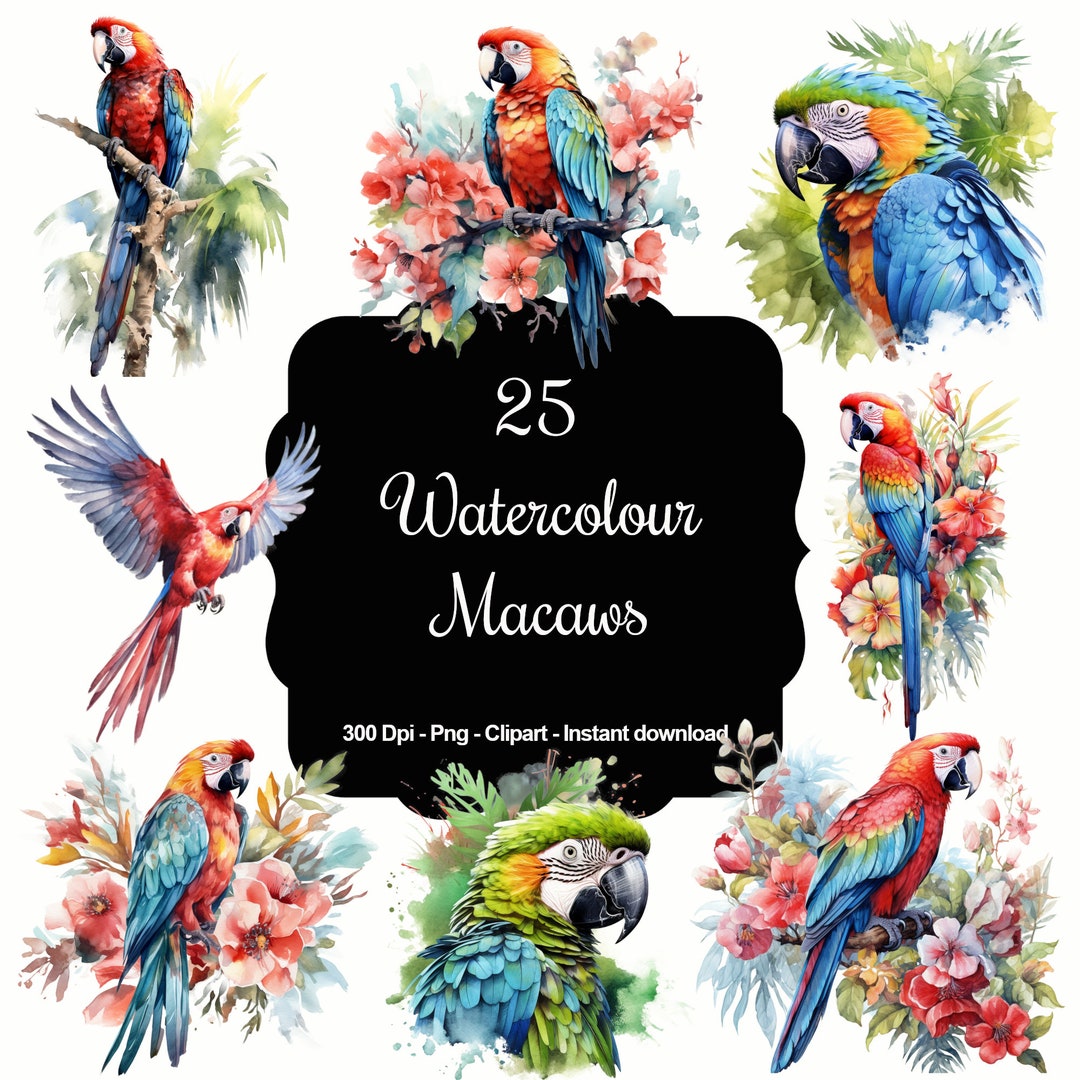 Tropical Macaw Parrots Watercolor Clipart Set 2 - 25 Watercolour, High ...