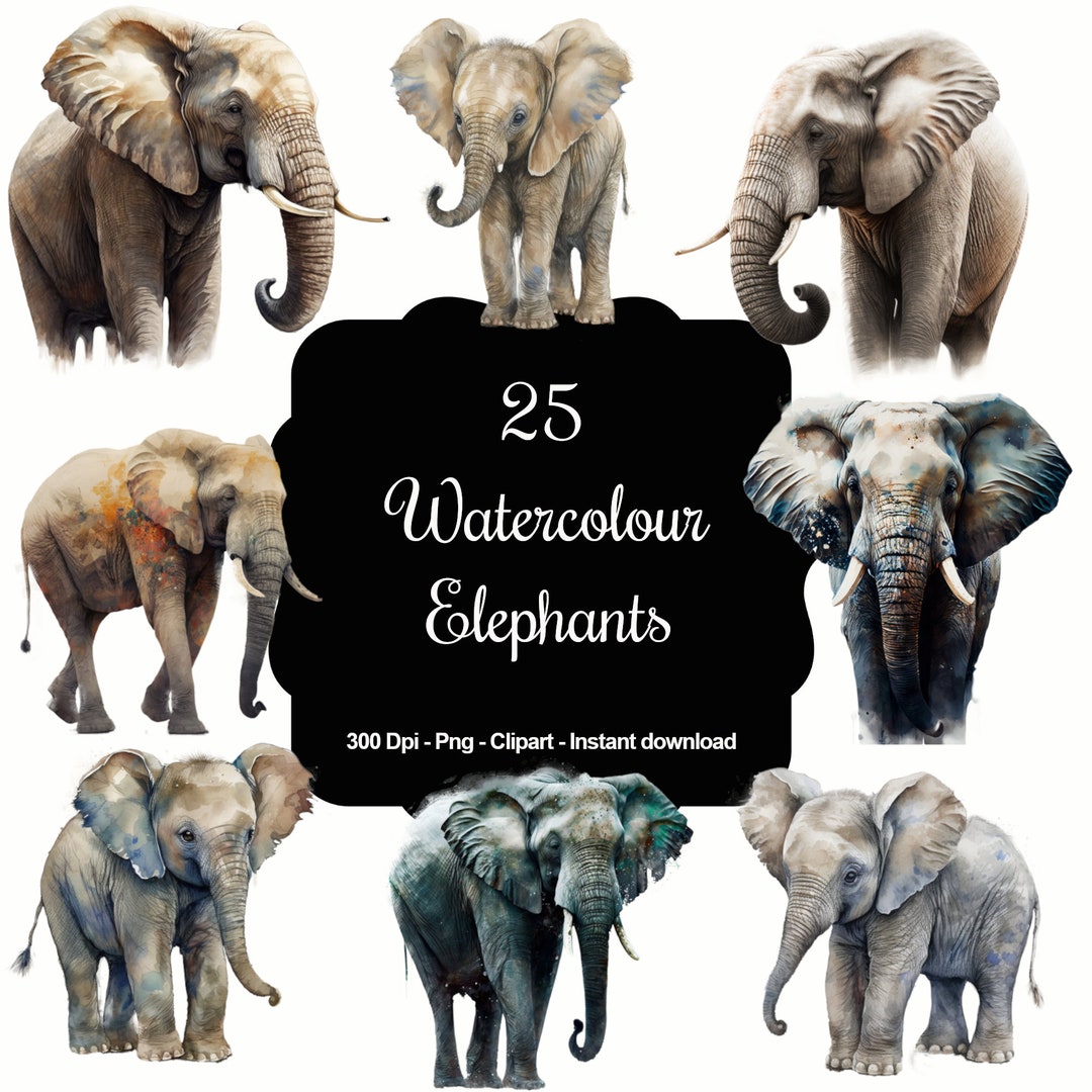 25 Watercolour Elephants, High Quality Clipart, Instant Download, 300 ...