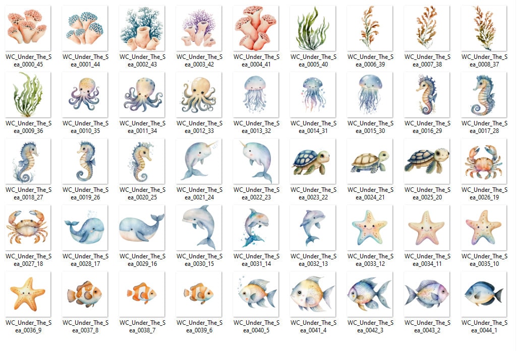 Ocean Whimsy: 45 Watercolour Under the Sea Creatures & Elements Clipart ...