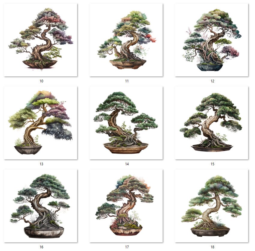 Zen Canopy: 20 Watercolour Bonsai Trees Clipart Set - Etsy