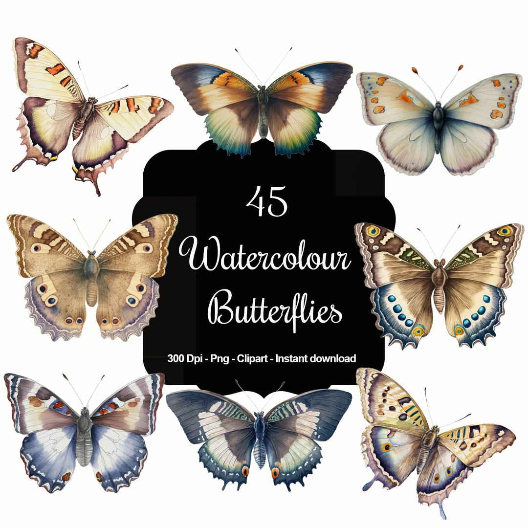 Whimsical Wings: 45 Watercolour Butterfly Clipart Collection - Etsy