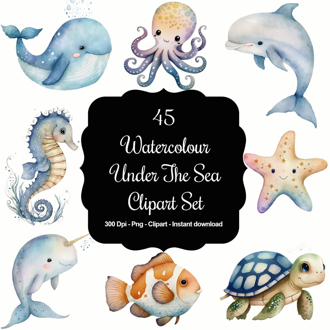 Ocean Whimsy: 45 Watercolour Under the Sea Creatures & Elements Clipart ...