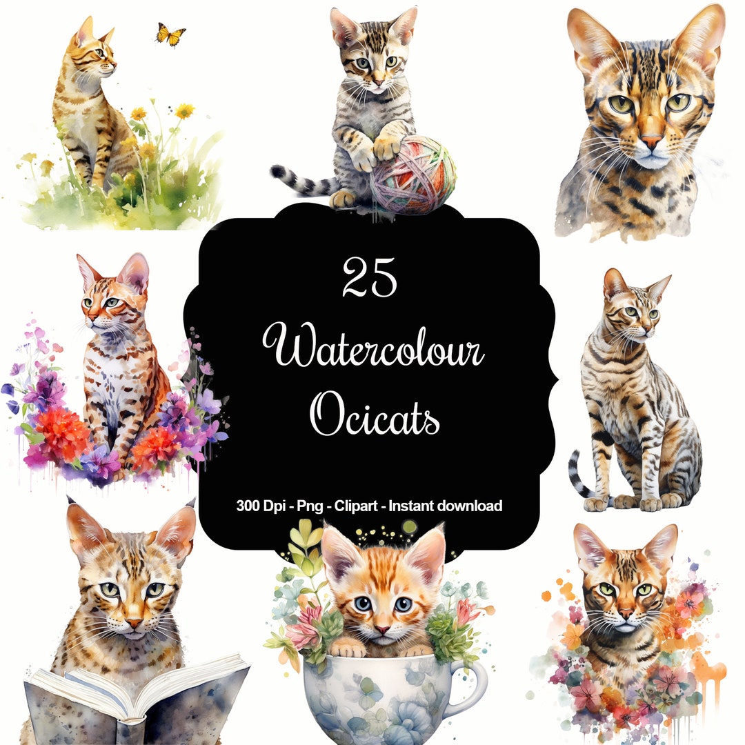 Spotted Whimsy: 25 Watercolor Ocicats Clipart Set - Etsy