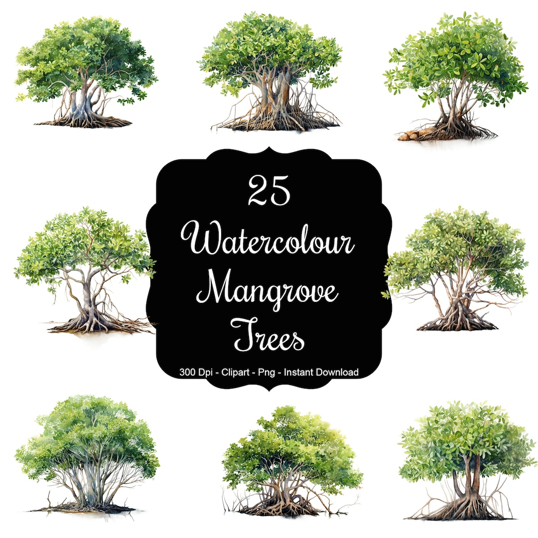 Mangrove Whispers: 25 Watercolour Mangrove Trees Clipart Set - Etsy