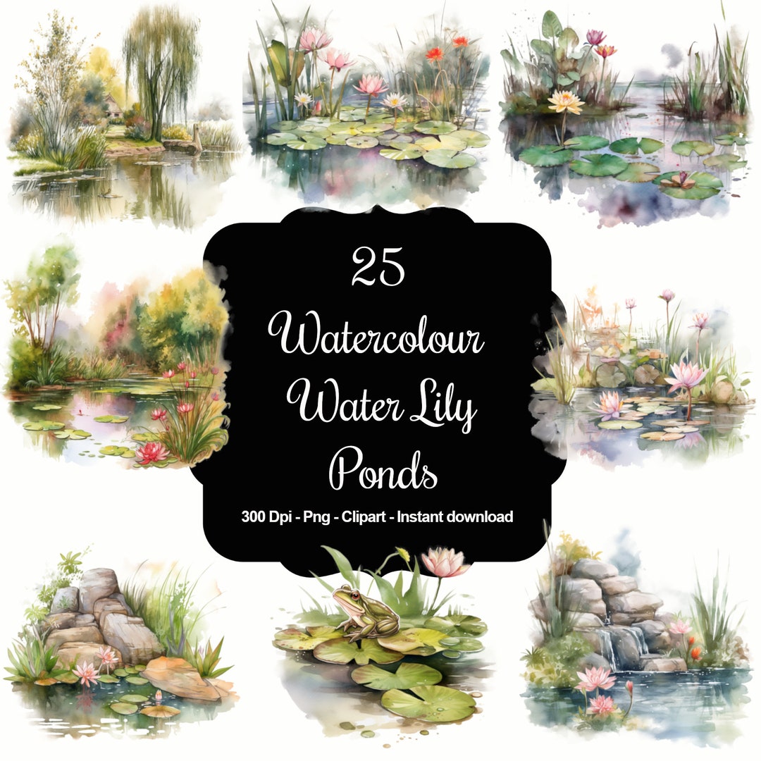 Serene Waters: 25 Watercolour Lily Pond Cliparts - Etsy