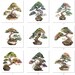 Zen Canopy: 20 Watercolour Bonsai Trees Clipart Set - Etsy