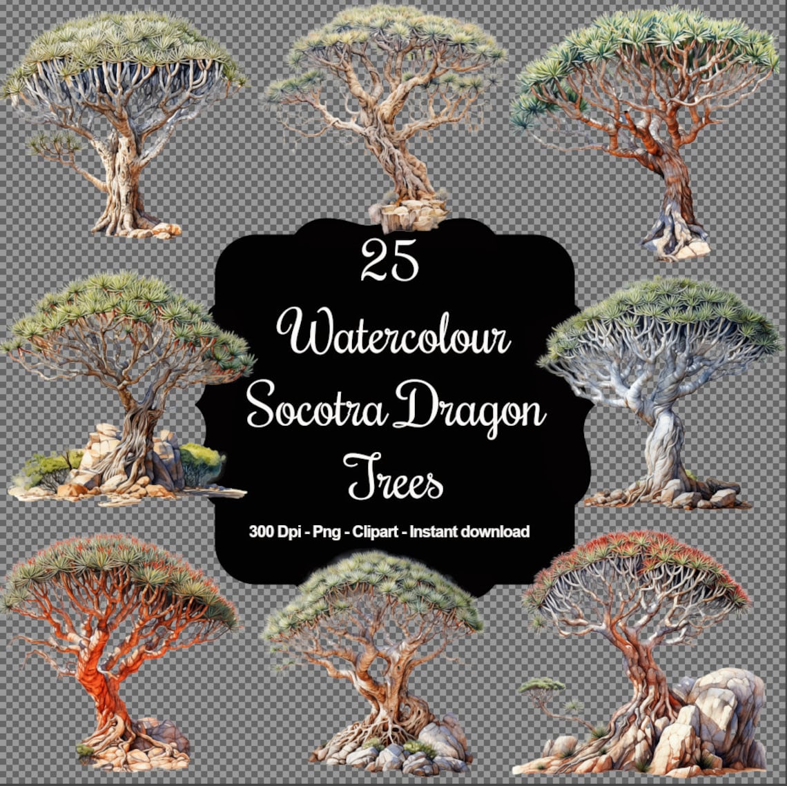 Desert Mystique: 25 Watercolour Socotra Dragon Tree Clipart Collection ...