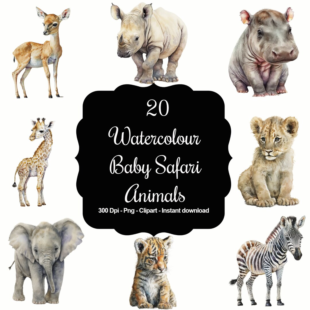 20 Watercolour Baby Safari Animals, High Quality Clipart Png, Instant ...