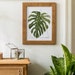 Monstera Print - Etsy