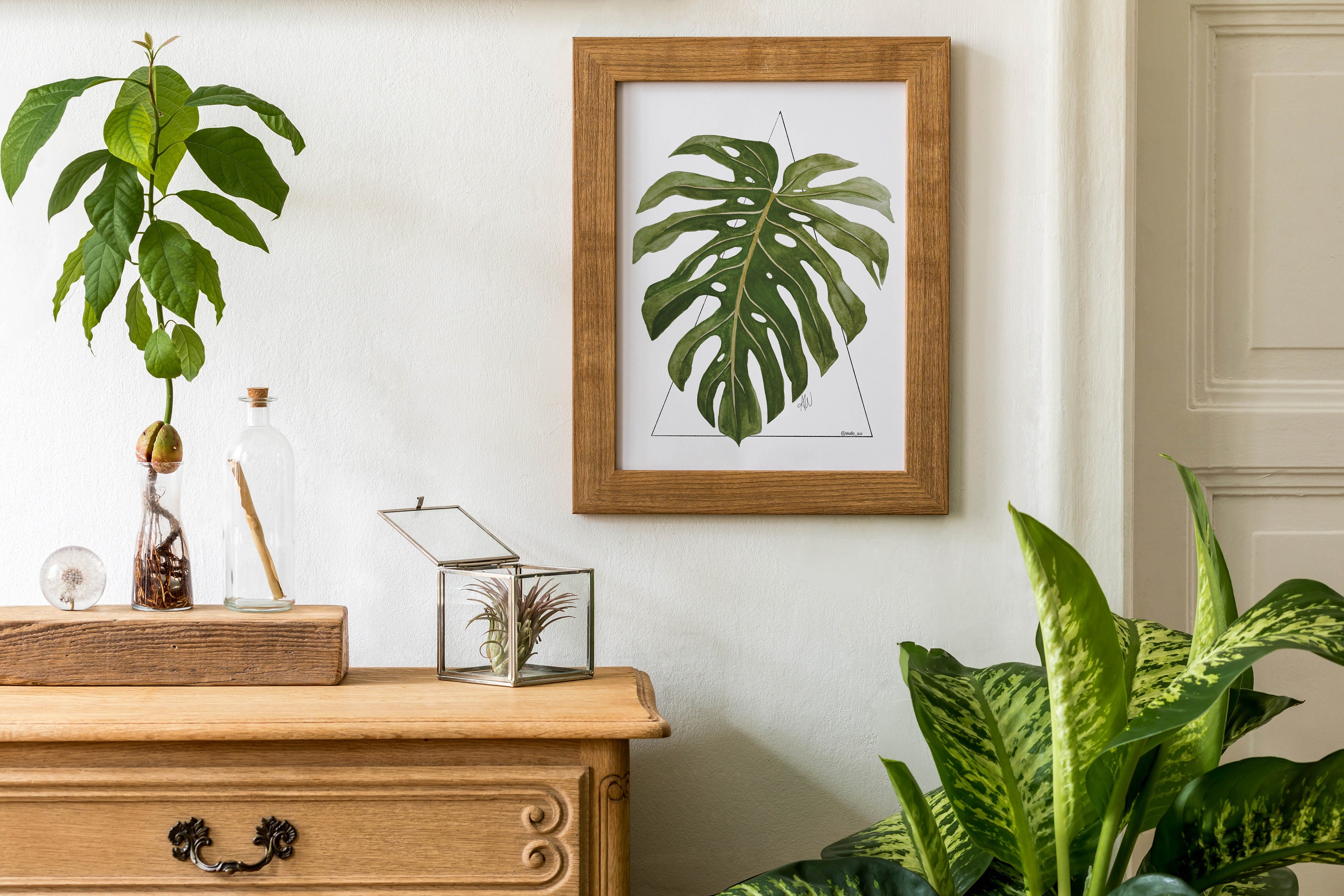 Monstera Print - Etsy