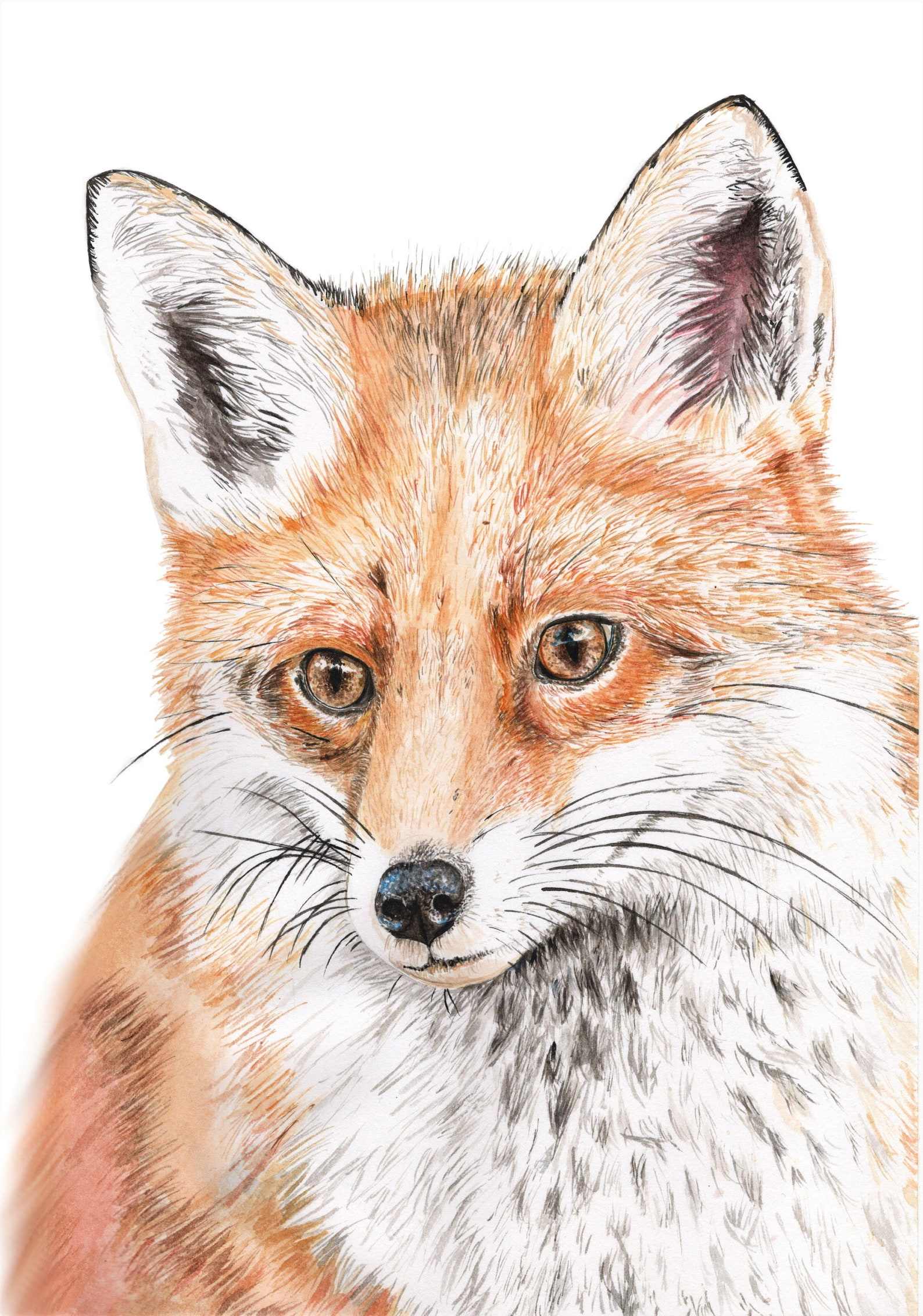 Fox Art Print, Fox Watercolour Painting, A4 Art Print, Fox Gifts, Fox ...