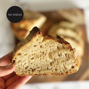 100% Spelt Sourdough Bread Recipe White, Whole Grain/wholemeal Spelt ...