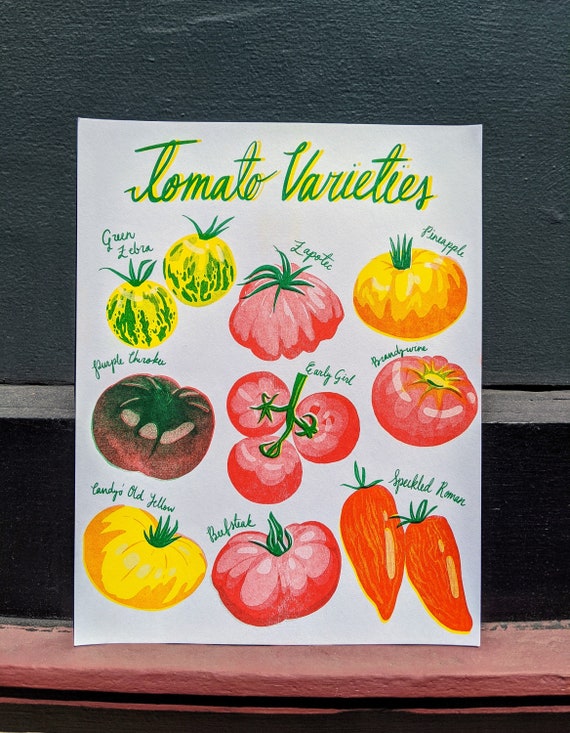 Risograph Tomato Print 8.5x11 Heirloom Tomato | Etsy