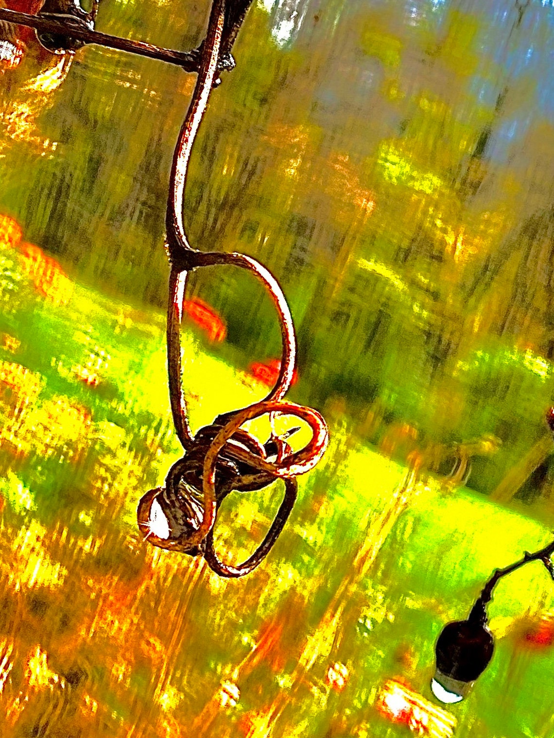 Photography. . A series of 8x10 photo prints unframed | Etsy