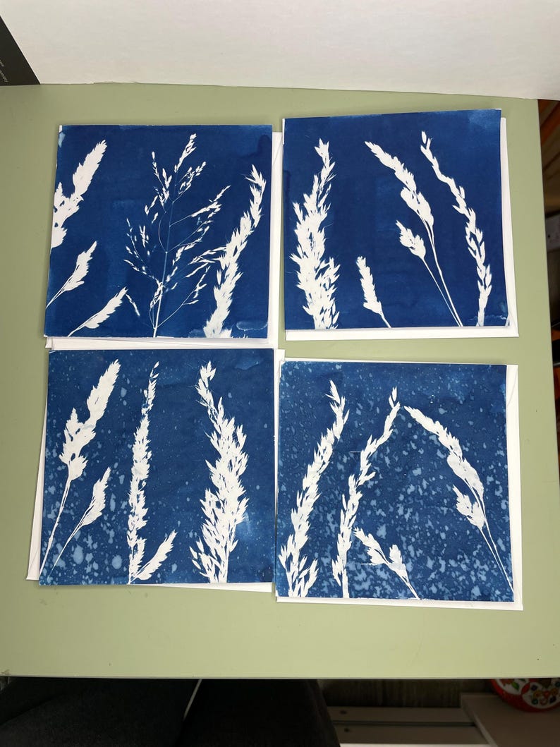 Cyanotype Card Sets of 4 | Original Cyanotype Prints | Unique Sets ...