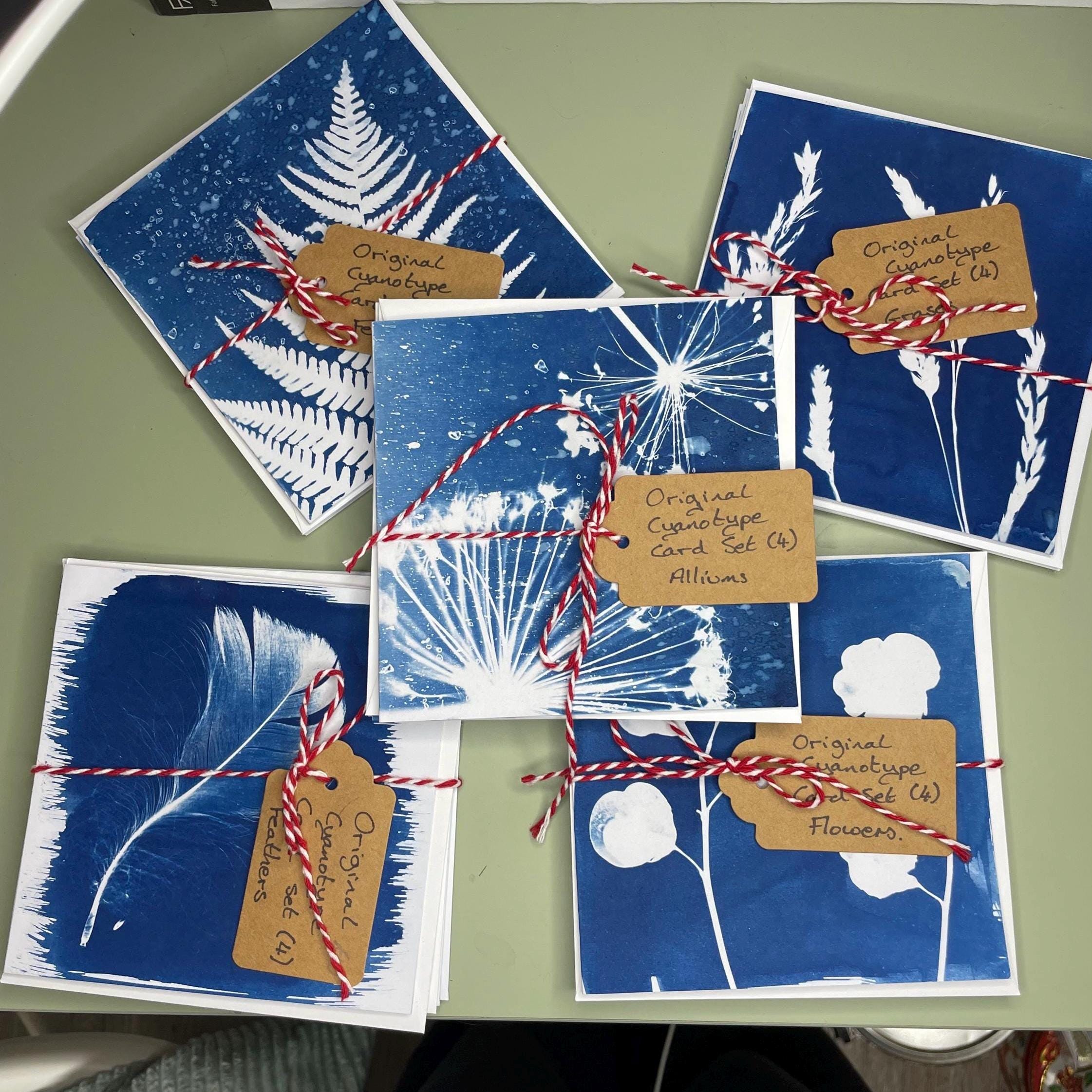 Cyanotype Card Sets of 4 | Original Cyanotype Prints | Unique Sets ...