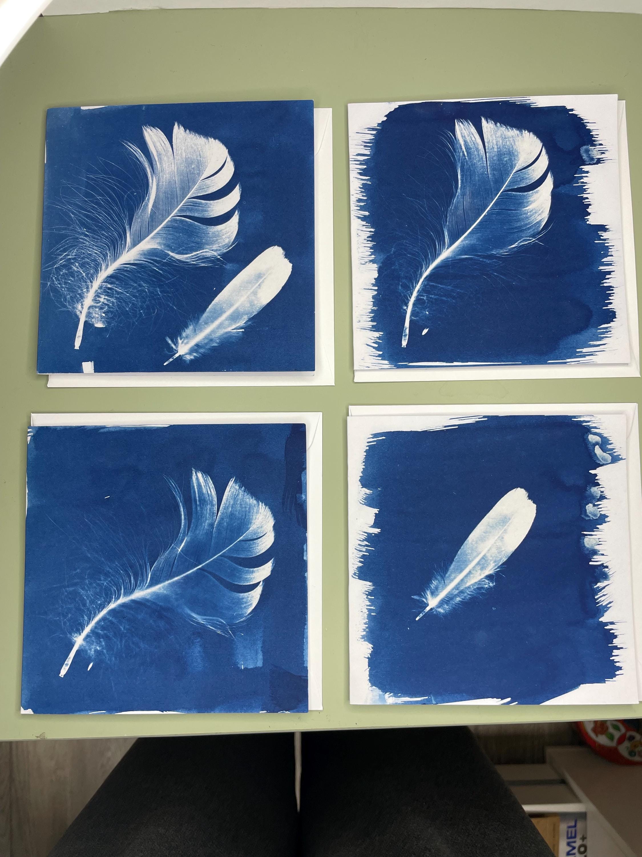 Cyanotype Card Sets of 4 | Original Cyanotype Prints | Unique Sets ...