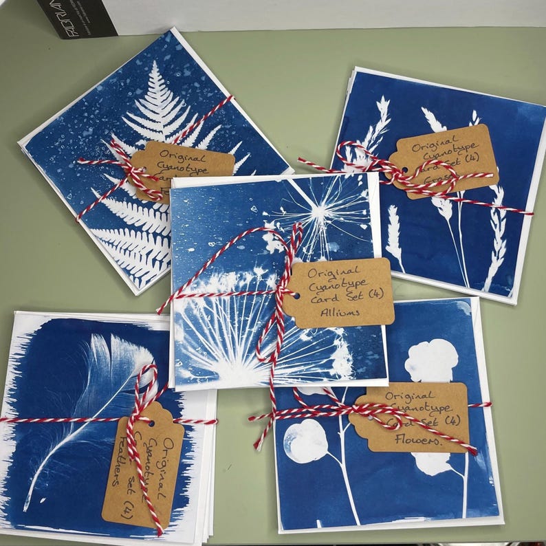 Cyanotype Card Sets of 4 | Original Cyanotype Prints | Unique Sets ...