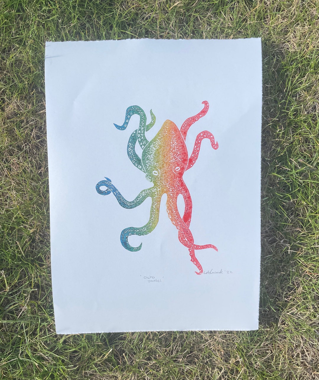 Octopus Linocut Print in Pastel Rainbow, Hand Printed, Signed - Etsy
