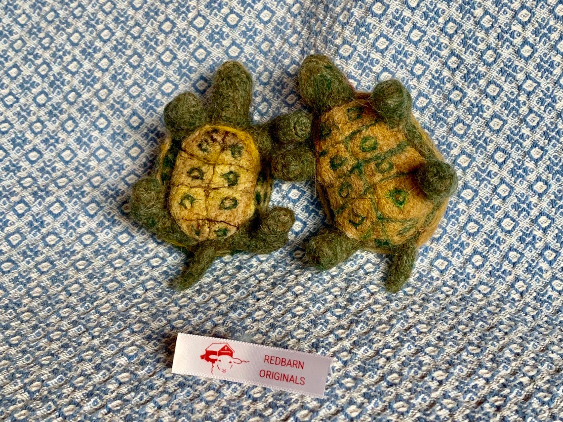 Kit Turtle Needle Felting Kit for 2 Turtles Wool Green and Tan - Etsy